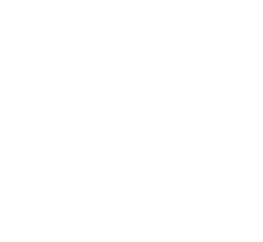 Fast Bolt Hole Alignment with handy PETOL® Flange Aligning Tool Sets